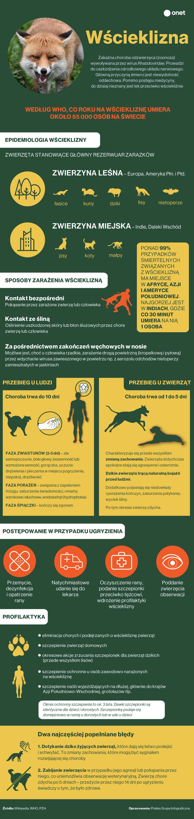 Wścieklizna - jak uniknąć zakażenia, co robić w przypadku ugryzienia ...
