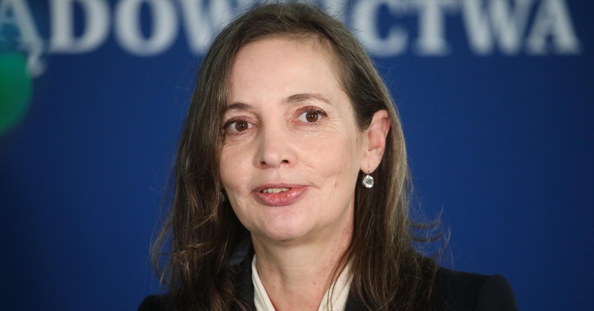 Prokuratura chce postawić zarzuty za aferę hejterską. Szefowa KRS komentuje - Wiadomości