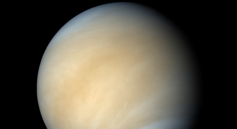 Sulfuric acid clouds on Venus hide a 'bizarre' anomaly that spans the ...