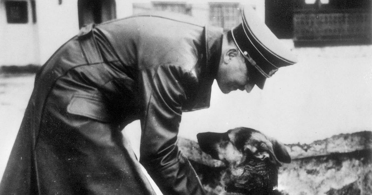 Nacisti i njihova opčinjenost životinjama Noizz