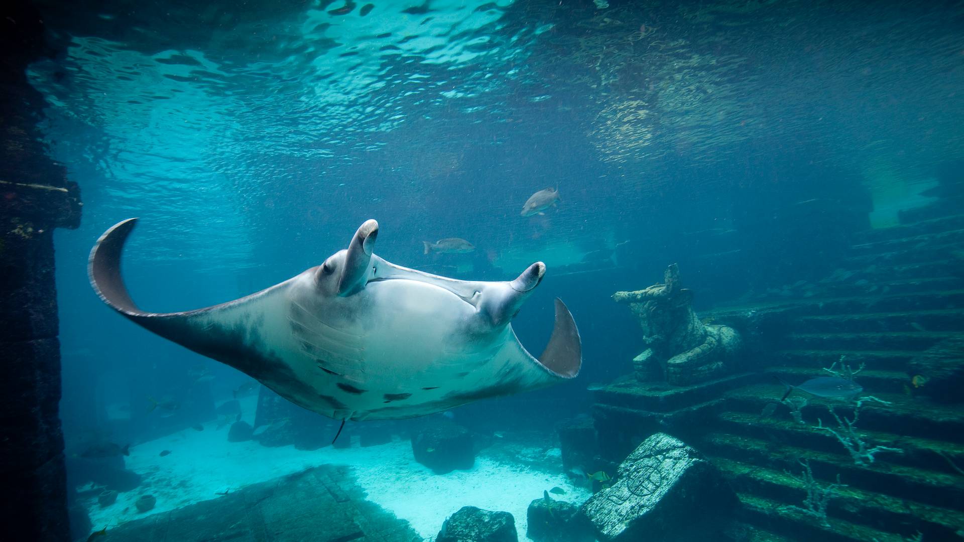 "Ez az út Atlantisz felé vezet" - Különös képződményt találtak a ...