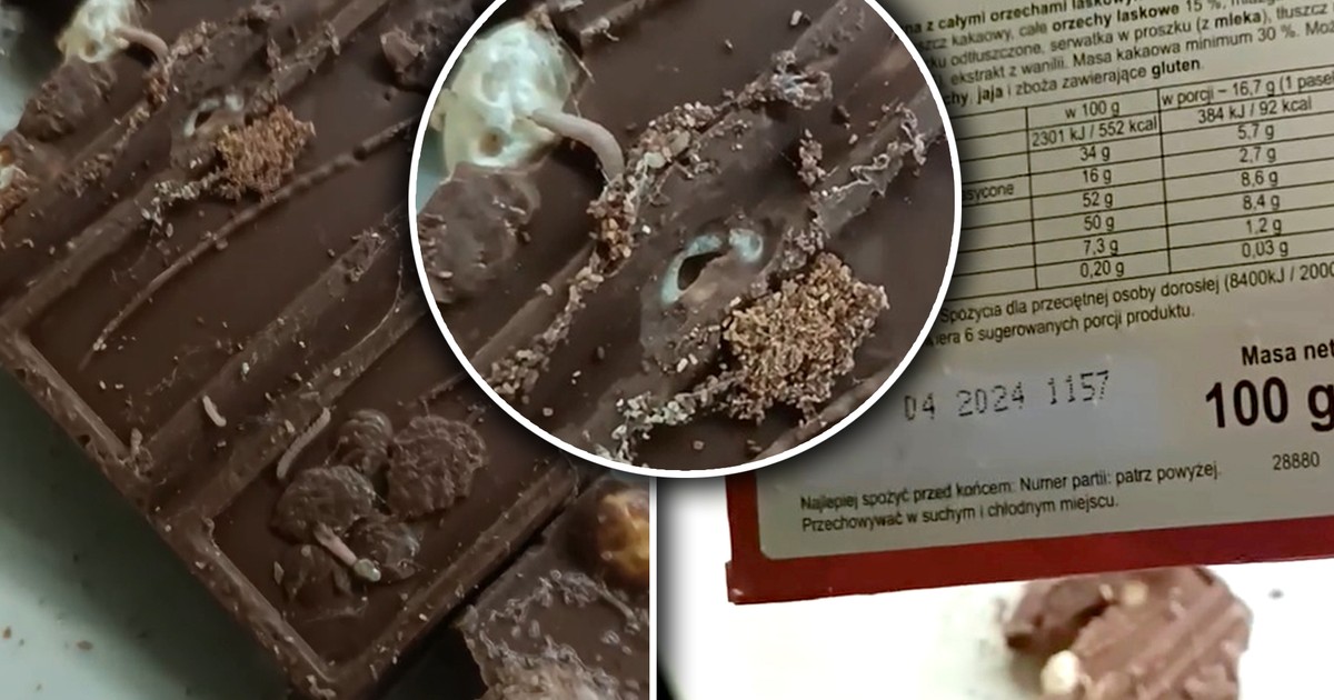 Glisty w czekoladzie mlecznej w Piastowie. Wiły się w buzi i po stoliku