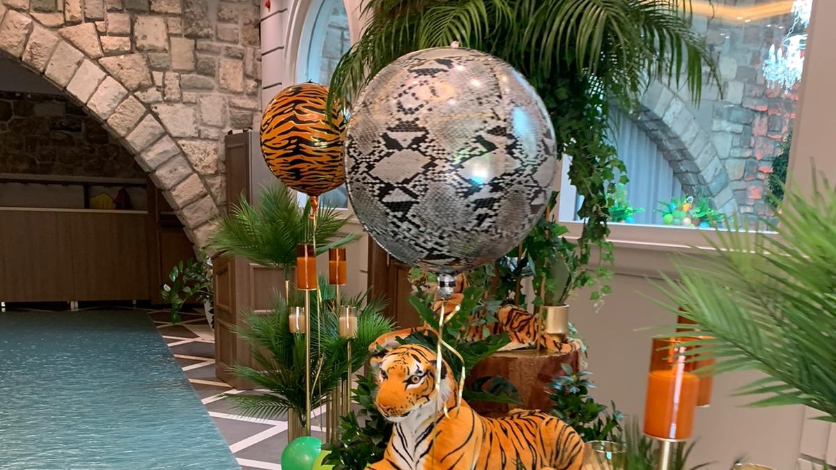 željko raznatovic rodjendan proslava ceca prvi dekoracija - Blic