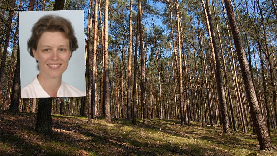 Morderstwo w lesie. Sprawca został nagrany przez kamerę przemysłową - Informacje