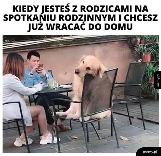 Najlepsze memy o rodzinnych spotkaniach. Rozbawią cię do łez - Kobieta