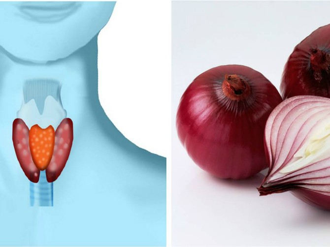 štitna žlezda | Zena.rs