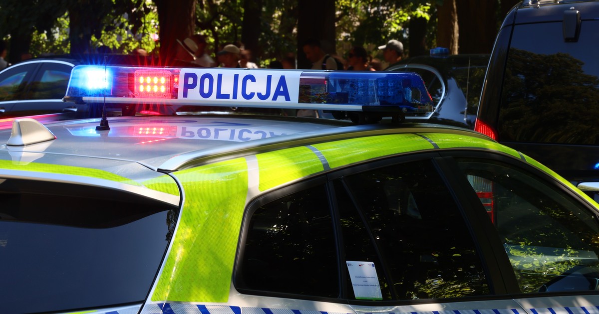 Brutalne zabójstwo kobiety w Lubsku. Zatrzymano podejrzanego - Wiadomości