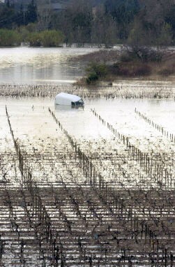Powódź stulecia we Francji - Wiadomości