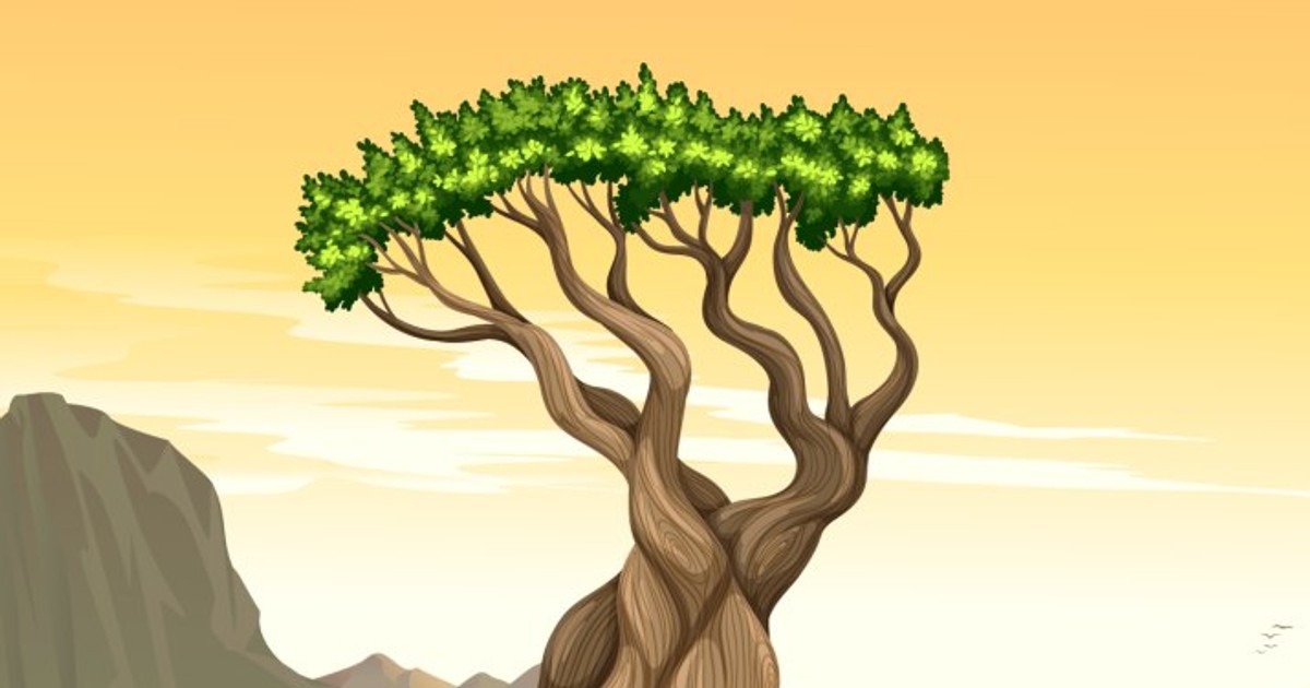 These are the longest-living life-forms on Earth | Business Insider Africa