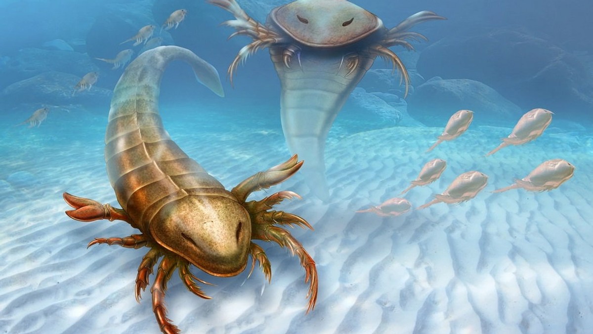 Zobaczcie, jak wyglądał morski "potwór" sprzed pół miliarda lat ...