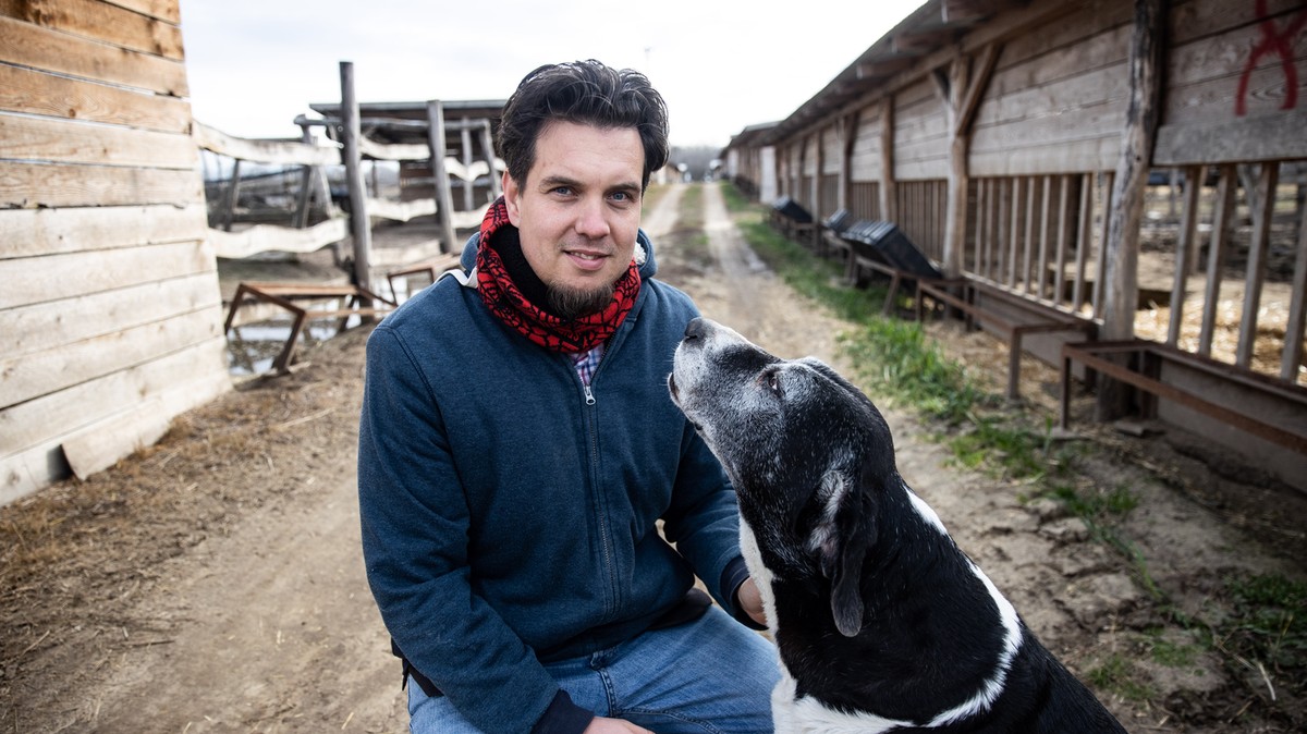 Magyar strucc farm: Le kellett vadászni a szökevény struccot - Blikk