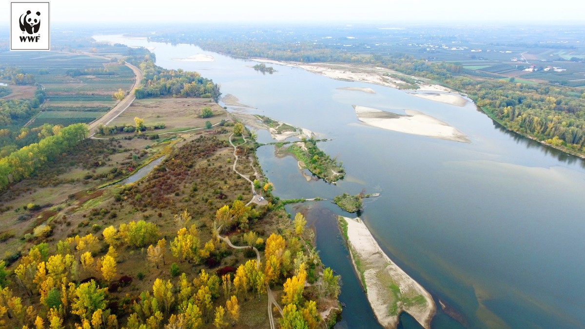 Rejs Wisłą możliwy z każdego miejsca na Ziemi - Wiadomości