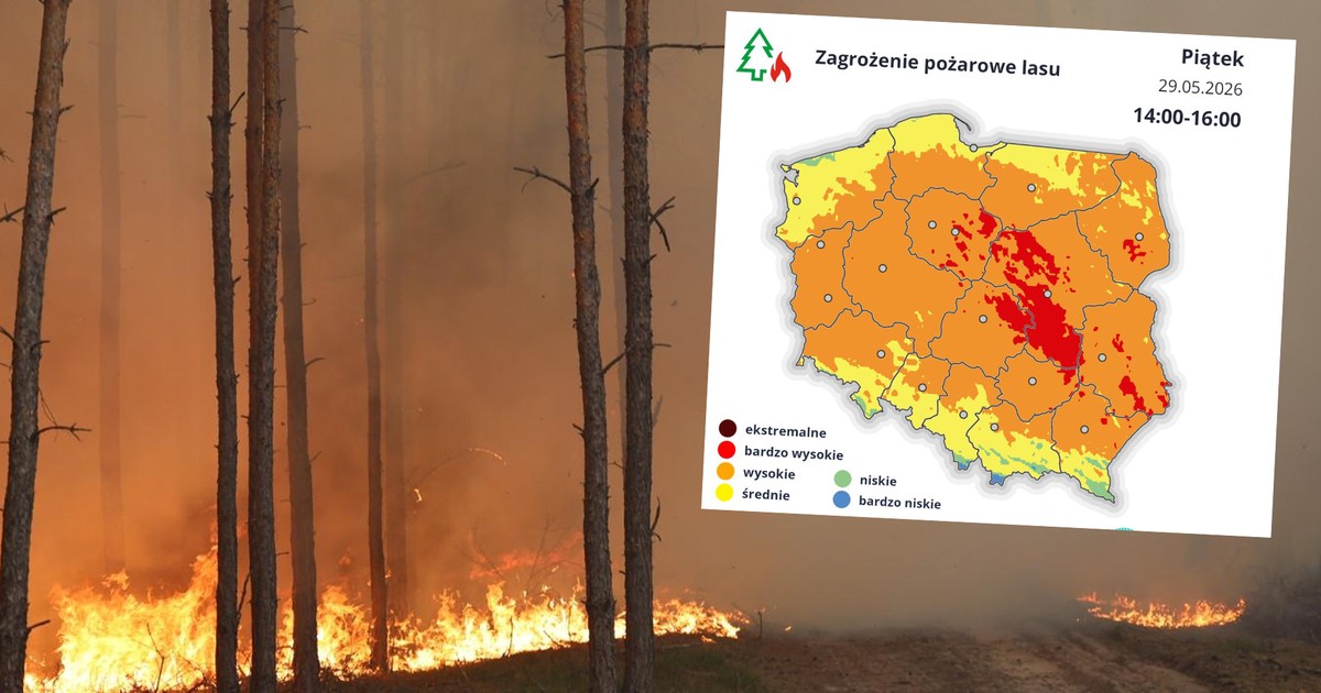 Zagrożenie pożarowe niemal w całej Polsce. Wystarczy jedna iskra