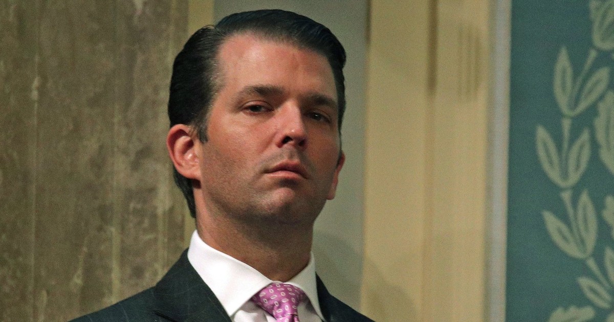 Michael Cohen's plea deal poses a significant danger to Donald Trump Jr ...