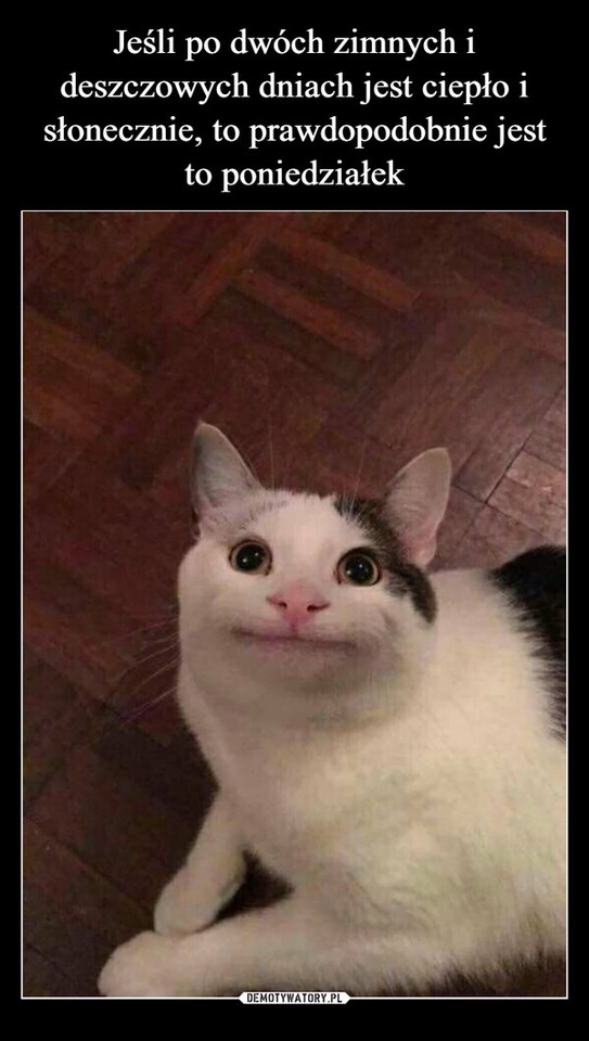 I znowu poniedziałek. Te memy rozbawią was do łez - Kobieta