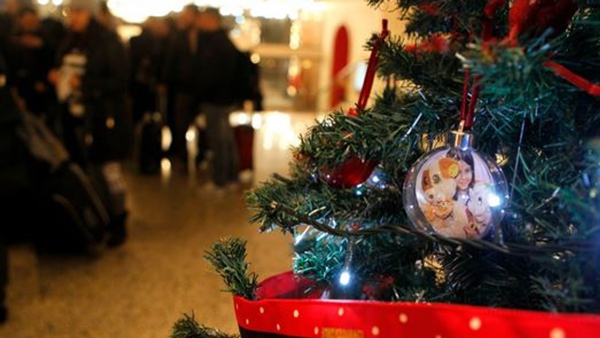 PLANINA OTPADA, OPASNI POKLONI Najveća godišnja ekološka katastrofa ...