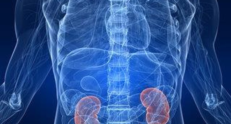 Nerki w niebezpieczeństwie