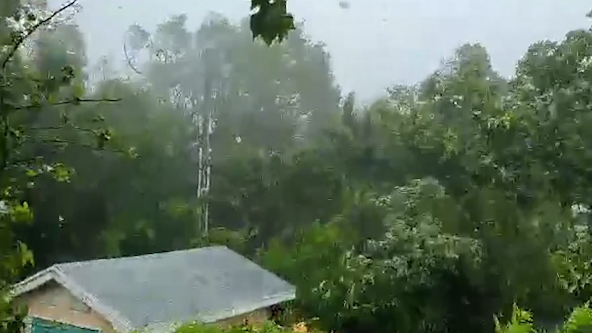 Zbog uragana na Bahamima AJKULE PLIVAJU ULICAMA? Tako barem deluje ...