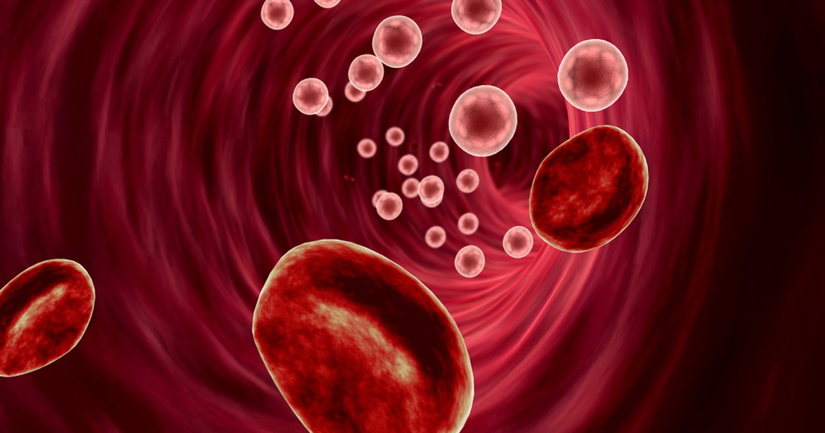 Leukocyty (krwinki białe): norma, podwyższone, niskie leukocyty - Zdrowie