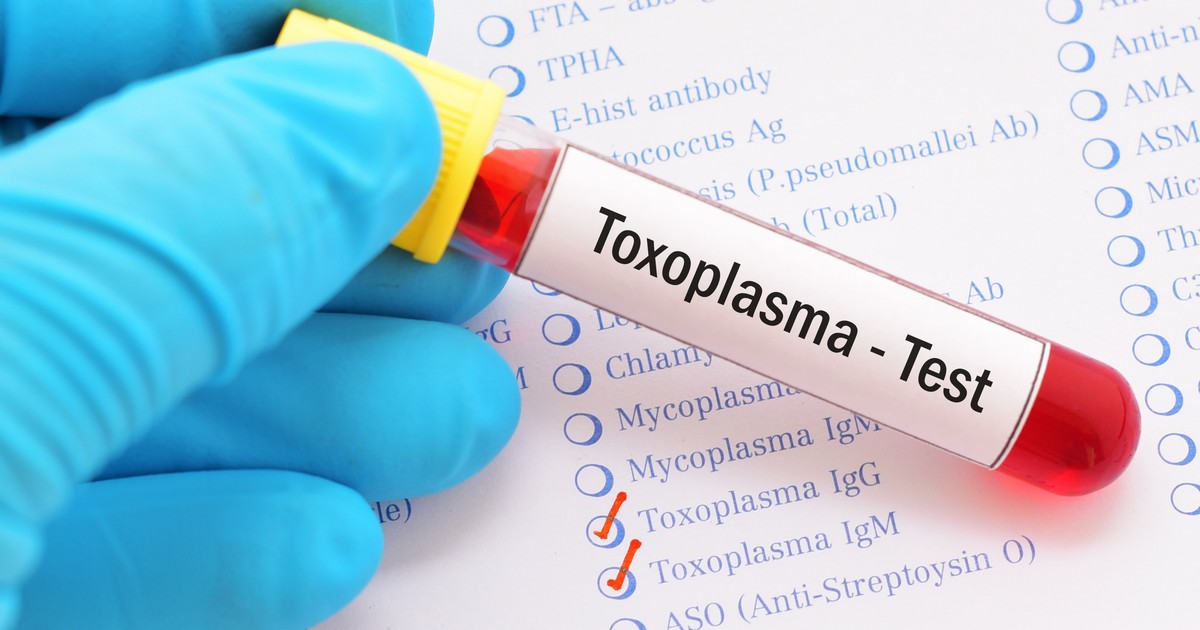 Toksoplazma: czym jest i jakie daje objawy? Leczenie i profilaktyka ...