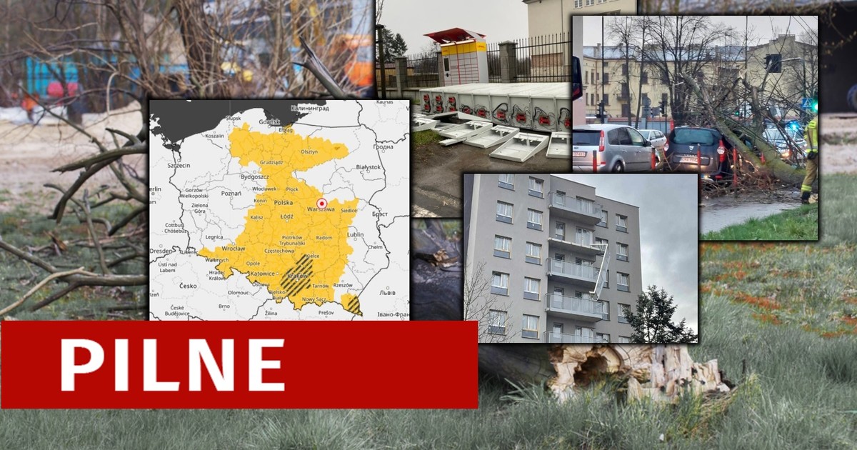 Wichury przechodzą nad Polską. Powalone drzewa, urwana balustrada [ZDJĘCIA] - Wiadomości