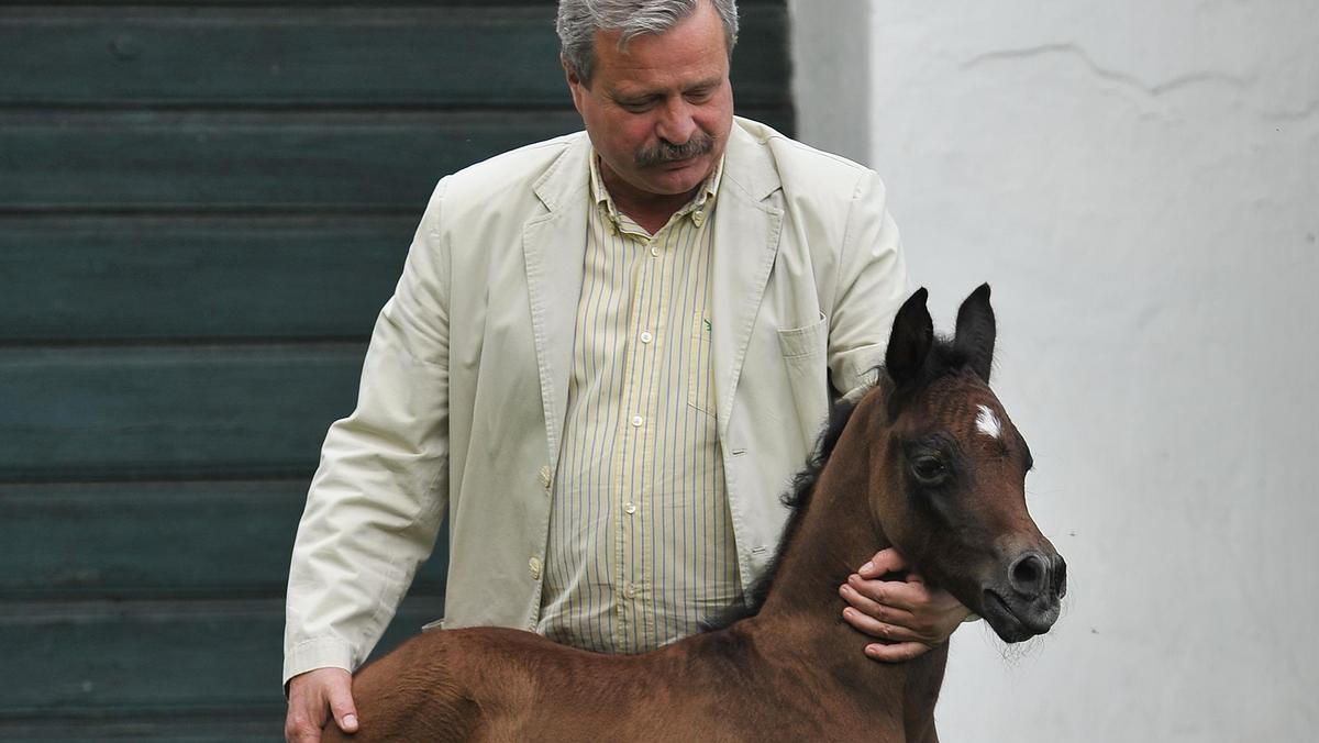 Koński wzorzec metra | Newsweek