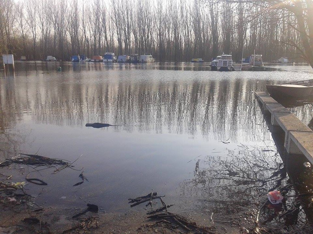 OTPADNE MATERIJE U TAMIŠU Šta je sve donela reka u Pančevo ispitivaće i ...