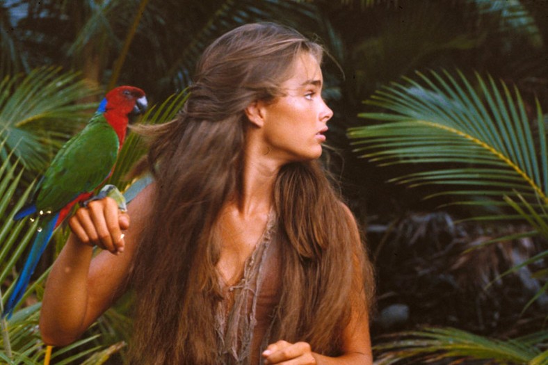 "Błękitna laguna". Po premierze wybuchł skandal. Gdzie obejrzeć film ...