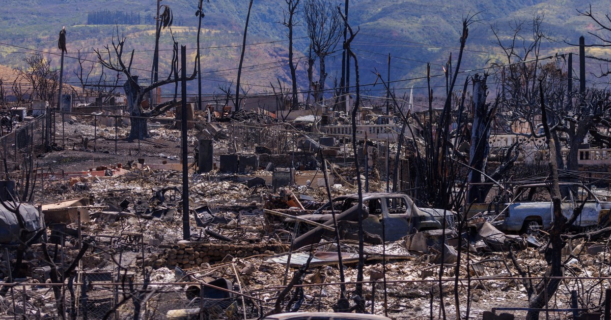 Climate scientists say they're balancing a 'strange mix of grief and ...