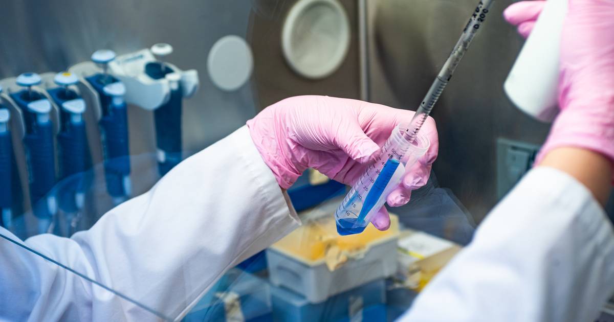 Genami może zabawić się każdy. Cena to zaledwie kilka tysięcy - Noizz