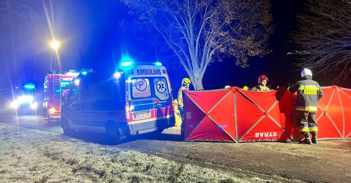 Tragiczny wypadek w Wielkopolsce: nie żyje młody kierowca - Informacje