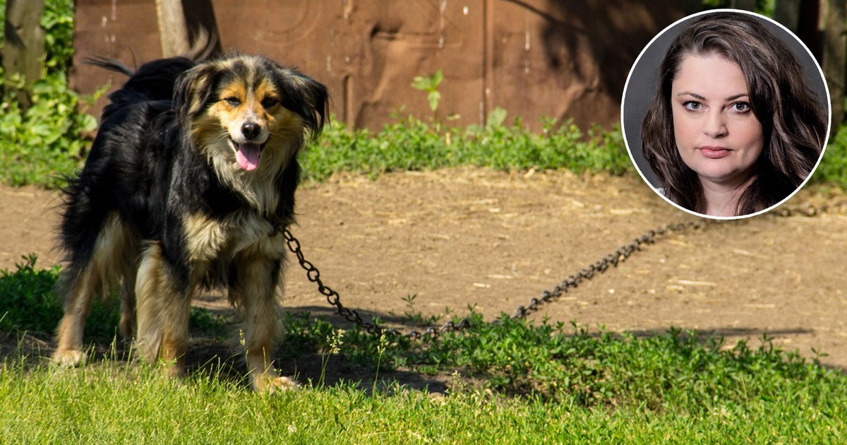 Posłowie nie chcą zabrać psom łańcuchów. Mówią jedno, a robią drugie