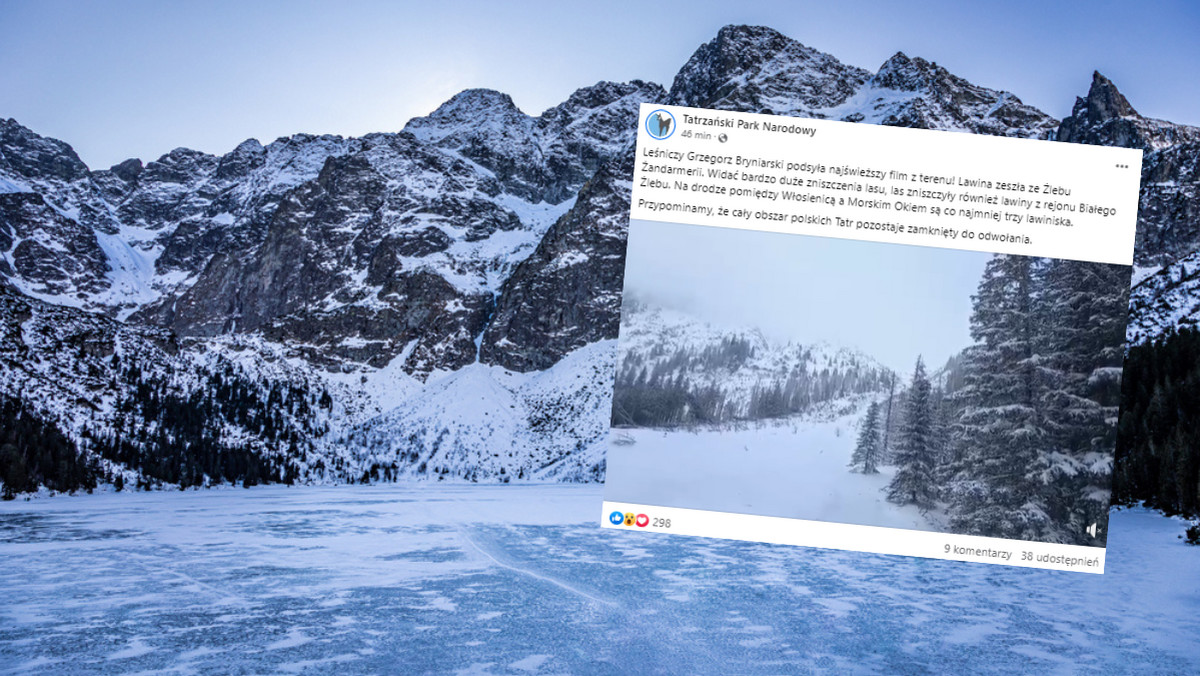 Gigantyczna lawina zeszła w rejonie Morskiego Oka. "Las przestał istnieć" - Podróże