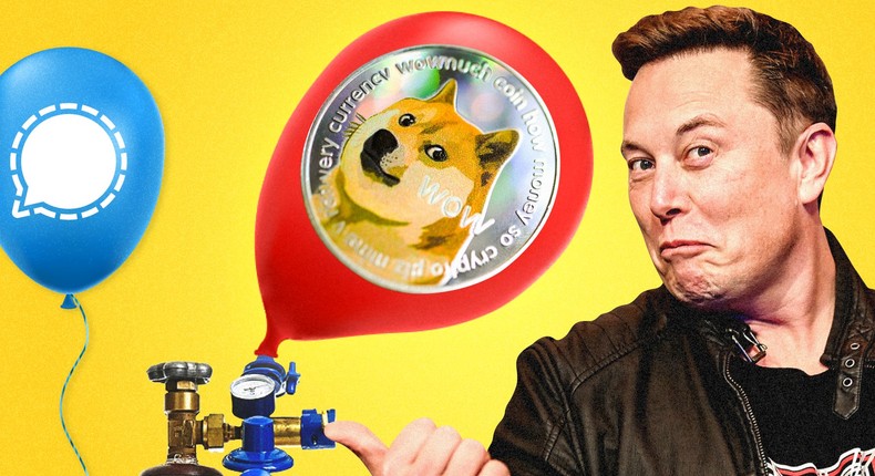 Elon Musk's championing of dogecoin made him the token's 'community ...