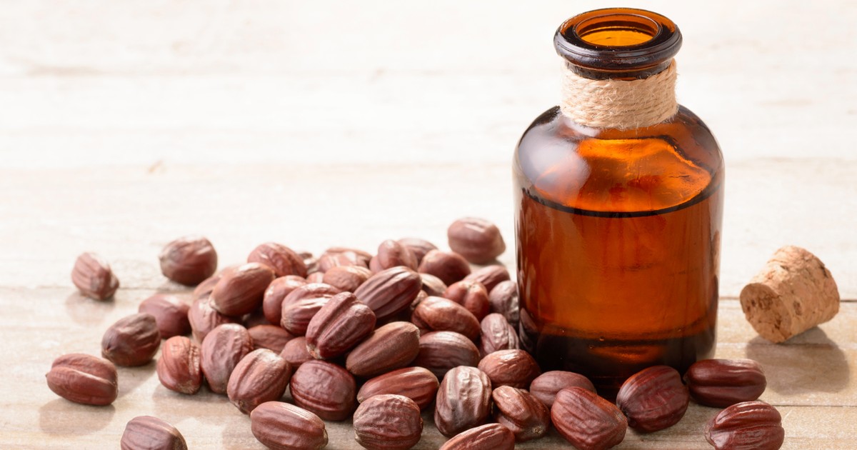 Olejek jojoba - skład, właściwości, zastosowanie. Jaki ma wpływ na skórę, włosy i paznokcie?