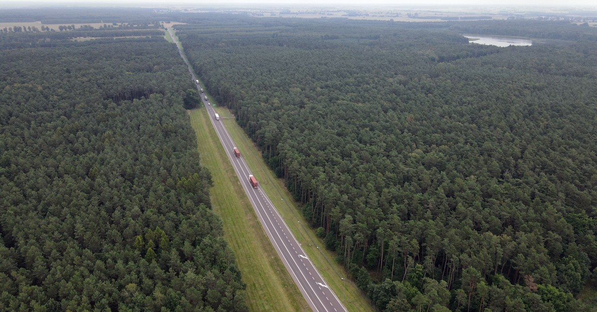 Via Carpatia najwcześniej pod koniec dekady. Trasa ekspresowa znów ma problemy - GazetaPrawna.pl