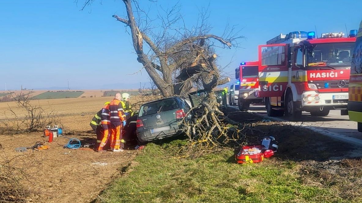 Tragické popoludnie na cestách: Náraz do stromu si vyžiadal život vodiča († 29) | Koktejl.sk