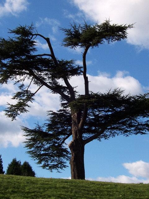 Wielka Brytania - Walia - Cardiff i okolice - Podróże