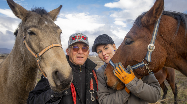 Lovakat tart Delhusa Gjon - Blikk