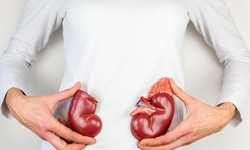 Nadnercza - charakterystyka, budowa, funkcje i choroby [WYJAŚNIAMY]