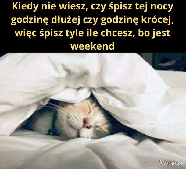 W ten weekend zmiana czasu. Internauci już gotowi. Najlepsze memy - Kobieta