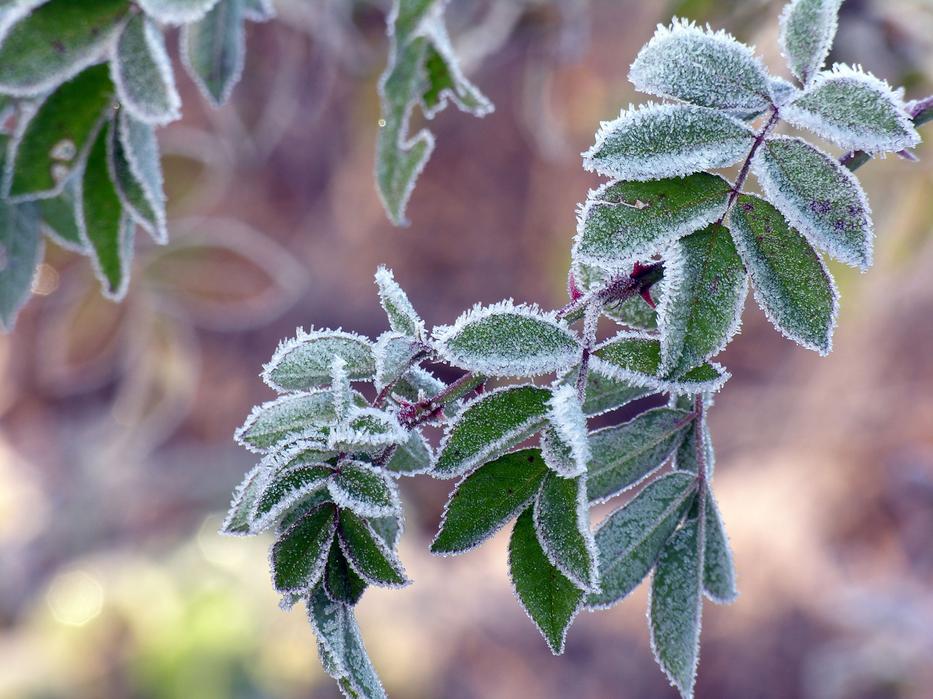 Ezen a napon köszönt be a tél: Közel az igazán hideg, pontosan akkor ...