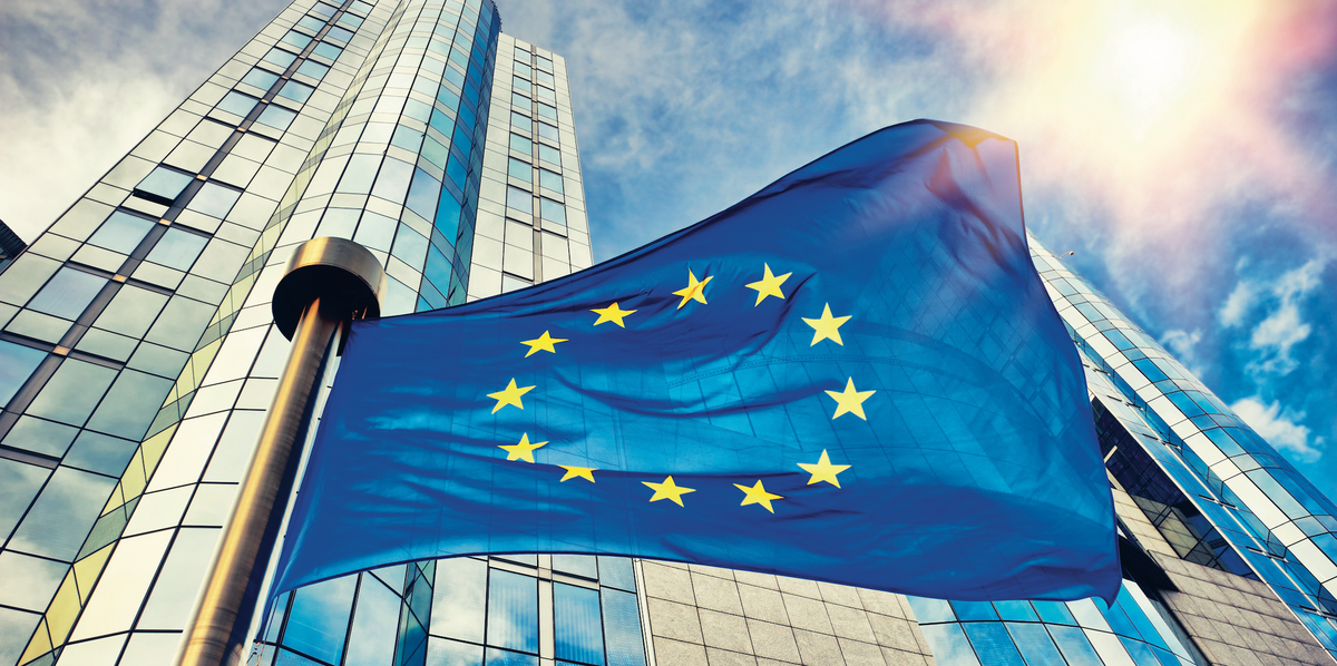 Dyrektywa CRSD i standardy ESRS. Nadchodzą standardy raportowania ESG ...