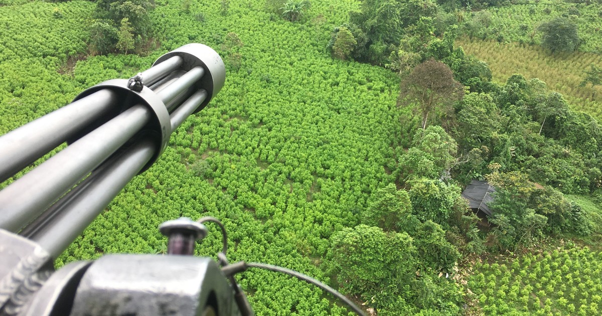 Step inside a Colombian jungle lab where coca leaf begin its journey to ...