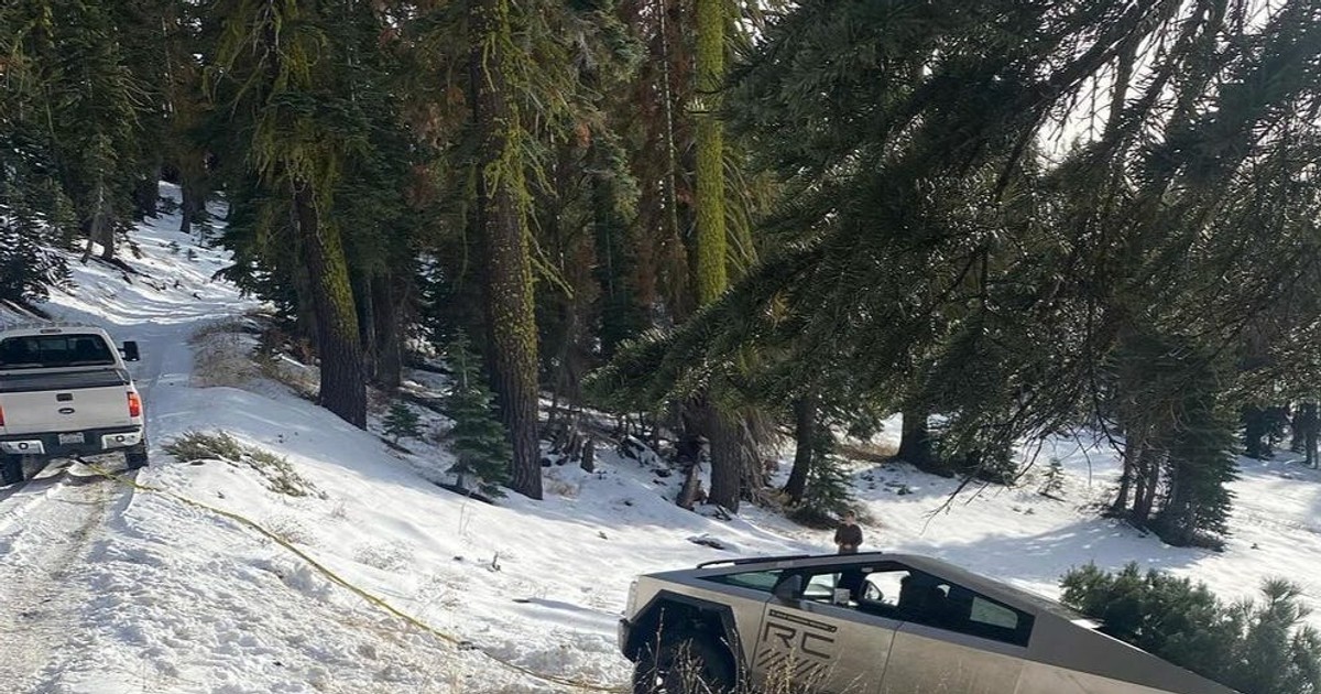 The US forest service says Tesla's viral stuck Cybertruck video could ...