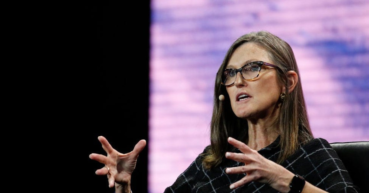 Cathie Wood's ARK Invest scooped up $88 million in Tesla stock in the ...