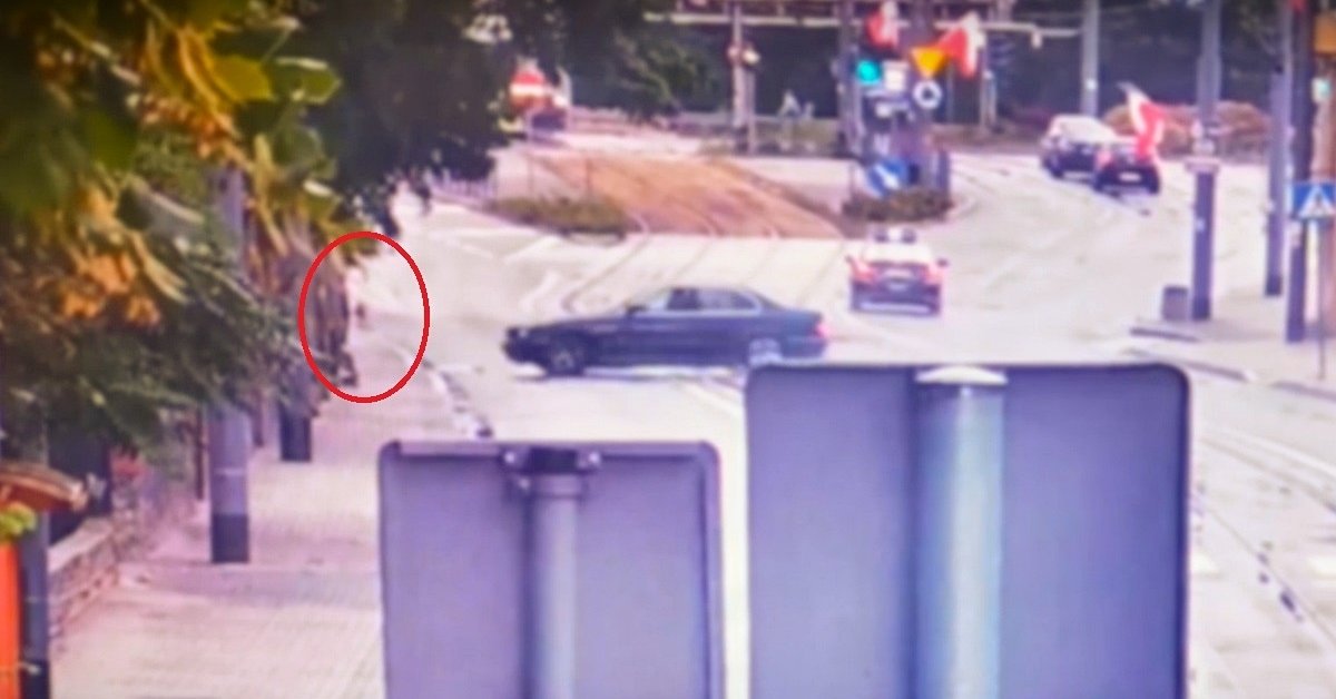 O krok od tragedii. Pijany pirat drogowy prawie zabił pieszego - Lubuskie