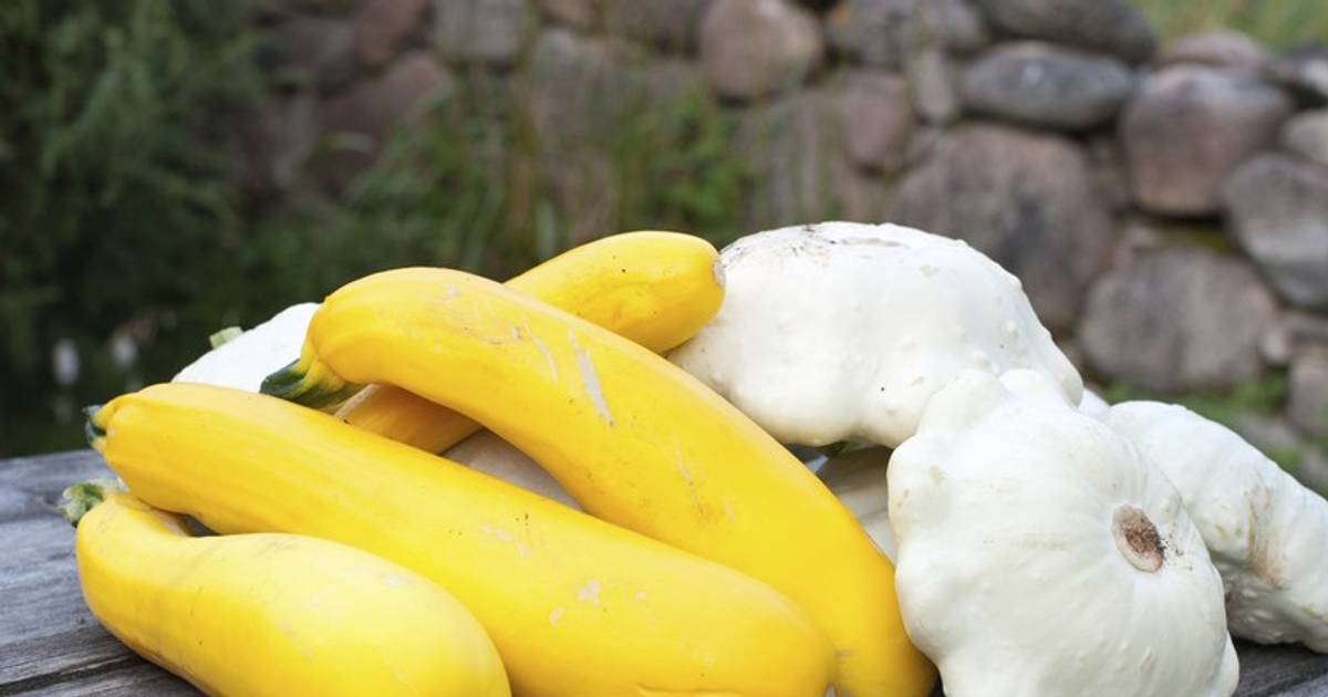 Kabaczek - domowe przetwory | Ofeminin