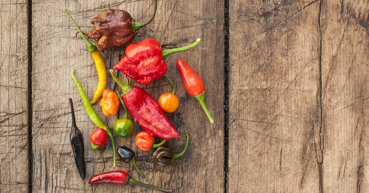 Najostrzejsza papryczka na świecie – ranking, zastosowanie, środki ...