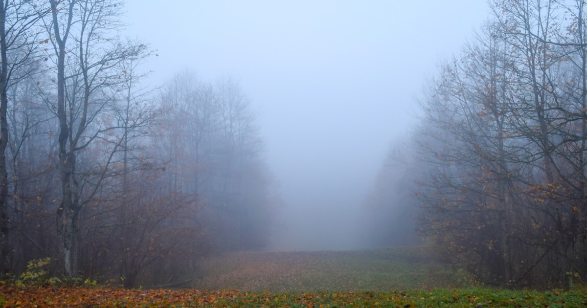Dlaczego listopad to najgorszy miesiąc w roku? - Kobieta
